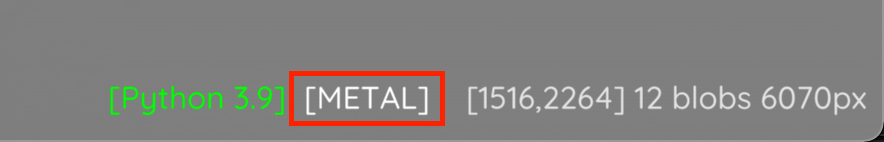 Visual Identification — TRex documentation